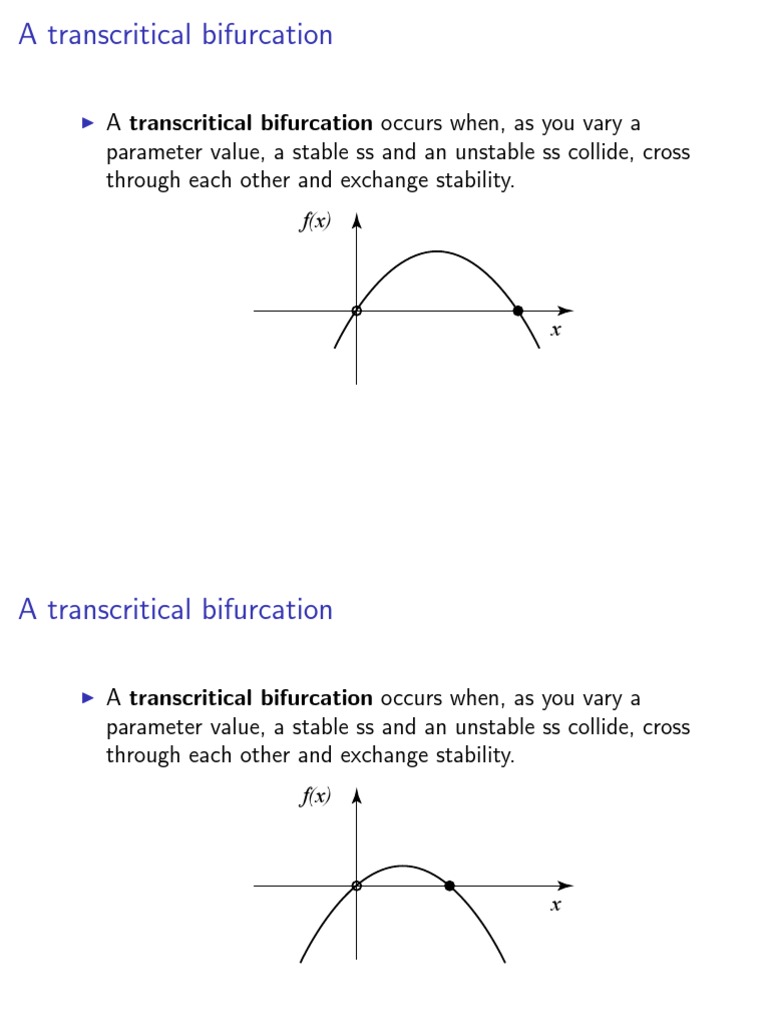 Transcritical Bifurcation | PDF | Stability Theory | Equations