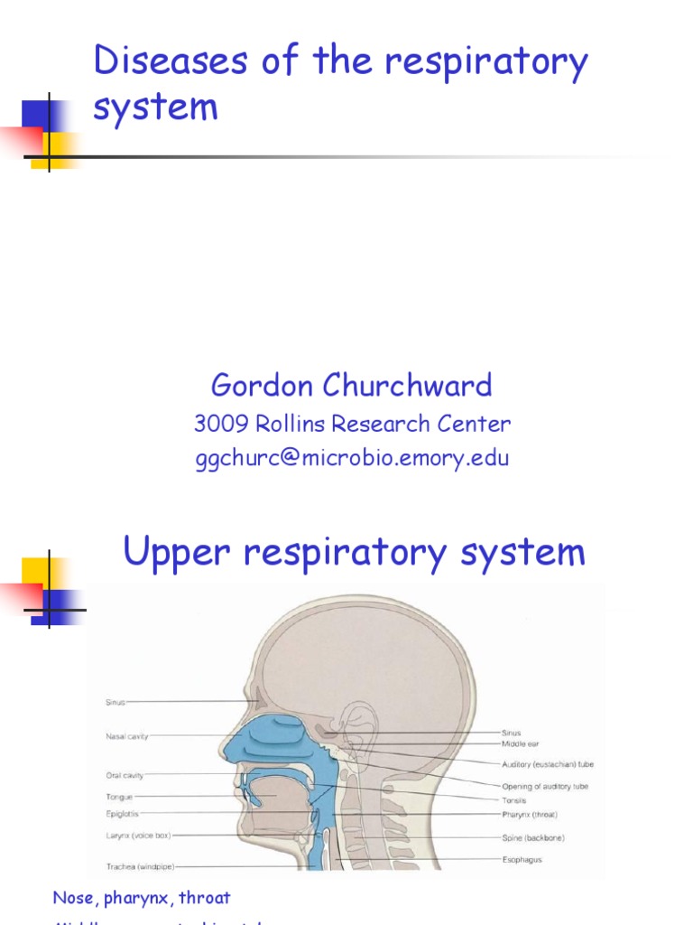 Diseases of The Respiratory System | PDF | Pneumonia | Influenza