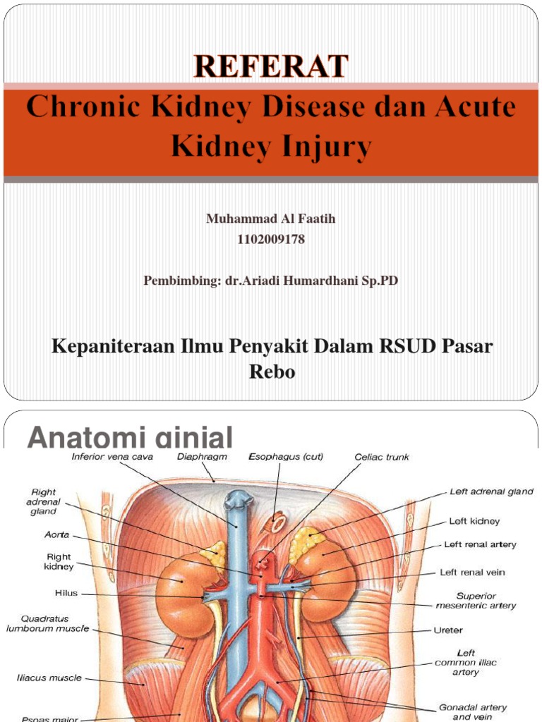 Aki CKD | PDF