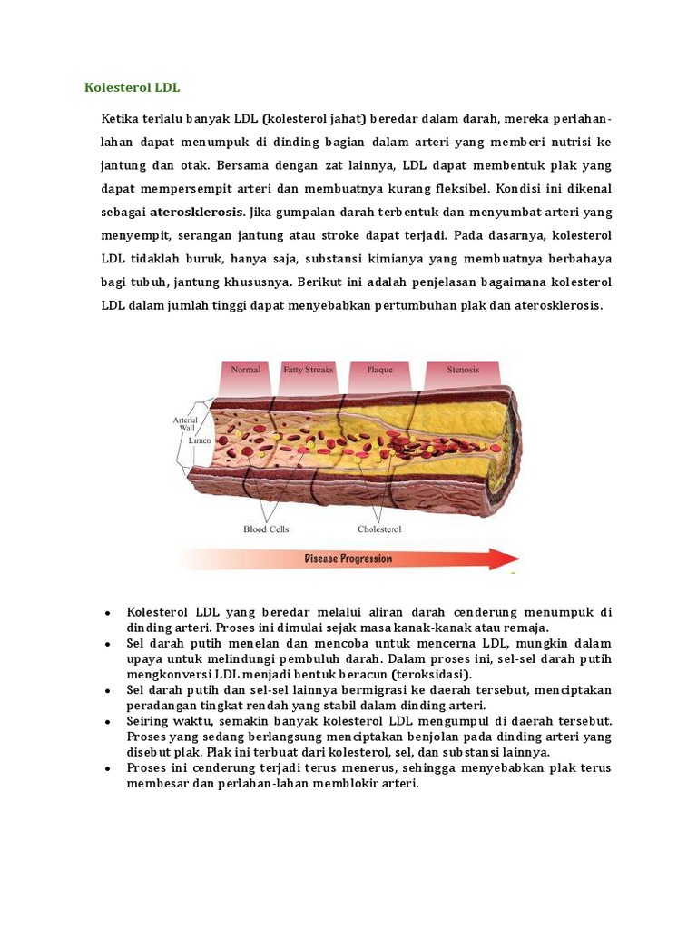 Kolesterol LDL | PDF | Gaya Hidup