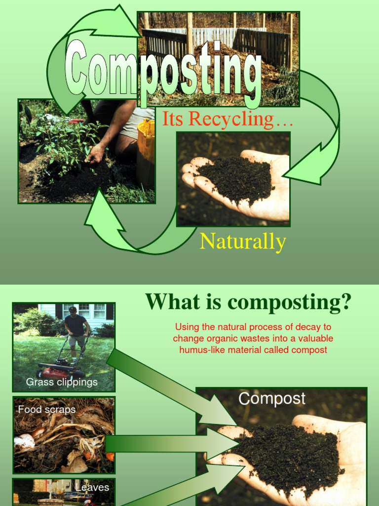 Composting Basics: A Guide to Success | PDF | Compost | Decomposition