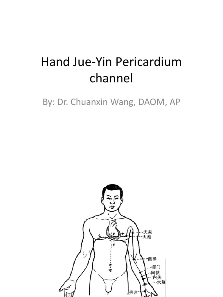 Class 8 - Hand Jue-Yin Pericardium Channel | Arm | Hand