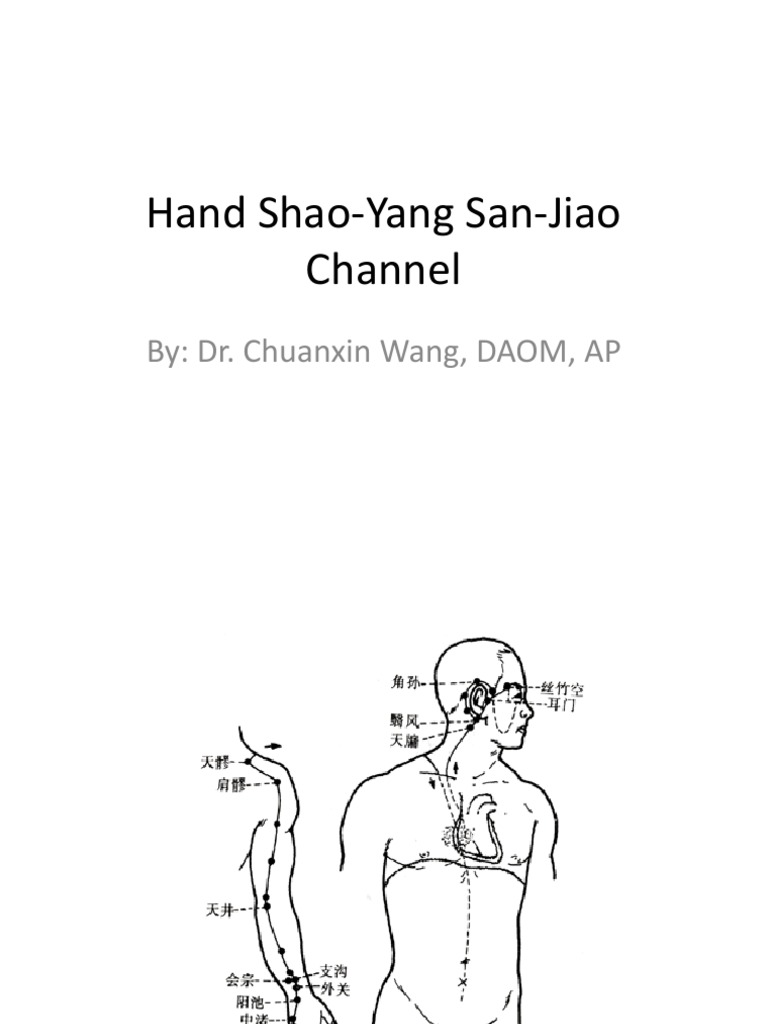 Class 8 - Hand Shao-Yang San-Jiao Channel | PDF | Arm | Hand