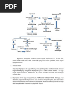 Patofisiologi Dan Pathway Hipertiroid | PDF