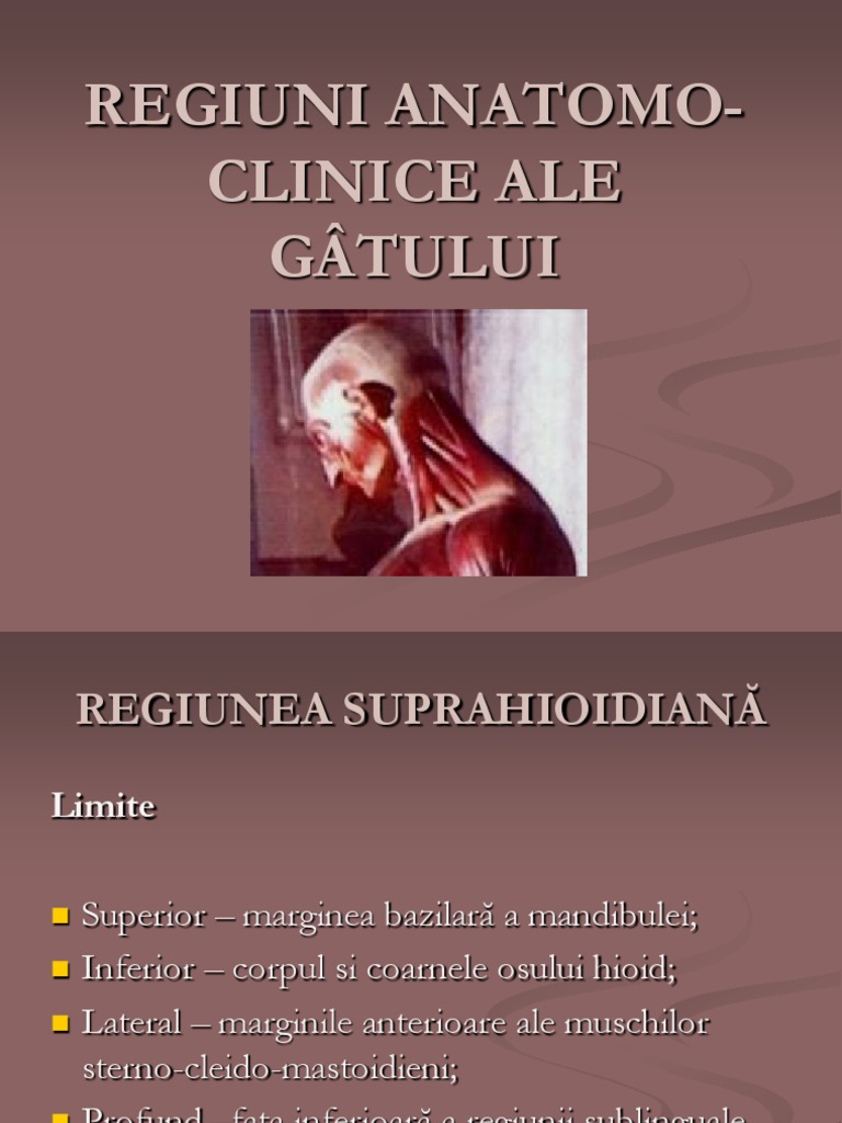 Regiuni Anatomo-Clinice Ale Gâtului | PDF