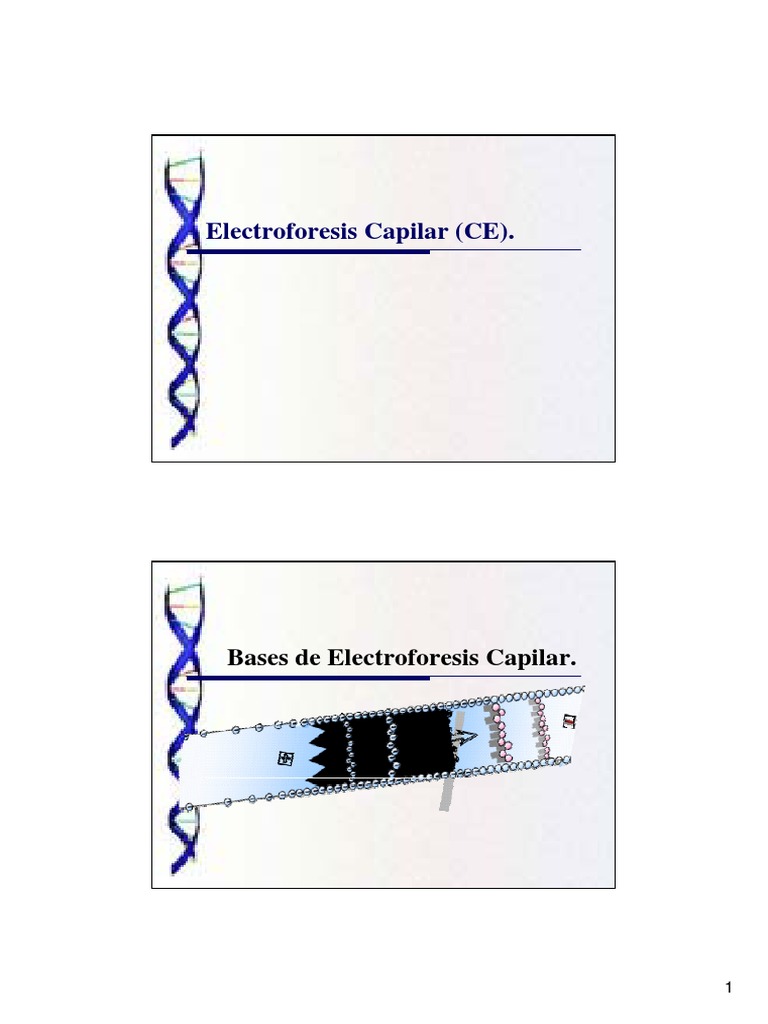Electroforesis Capilar Presentacion | PDF | Electroforesis | Electroforesis capilar