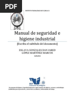 Pirámide de Kelsen, Seguridad e Higiene Industrial | PDF | México | Derecho laboral