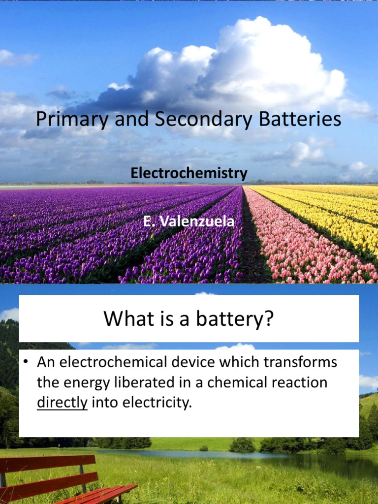 An In-Depth Look at Primary and Secondary Batteries: Their ...