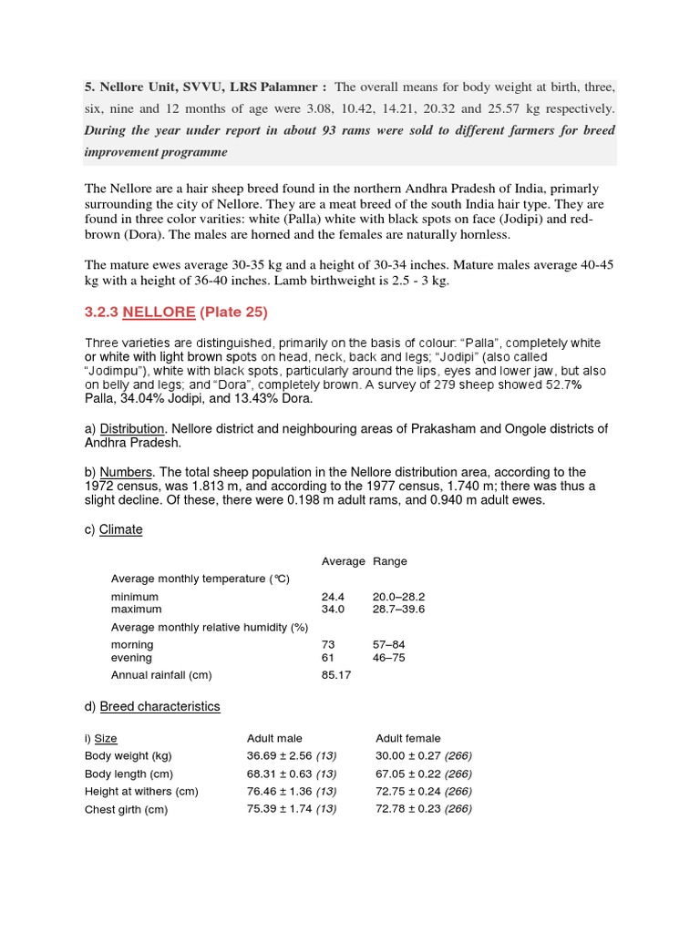 Nellore Sheep | PDF | Sheep | Domestication