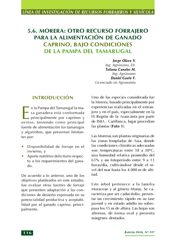 NR 36704 | PDF | Naturaleza