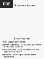 Blood Circulation Flow Chart | PDF
