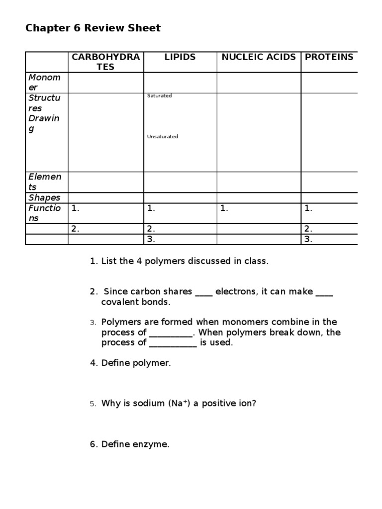 Chapter 6 Review Sheet: Carbohydra TES Lipids Nucleic Acids Proteins | PDF