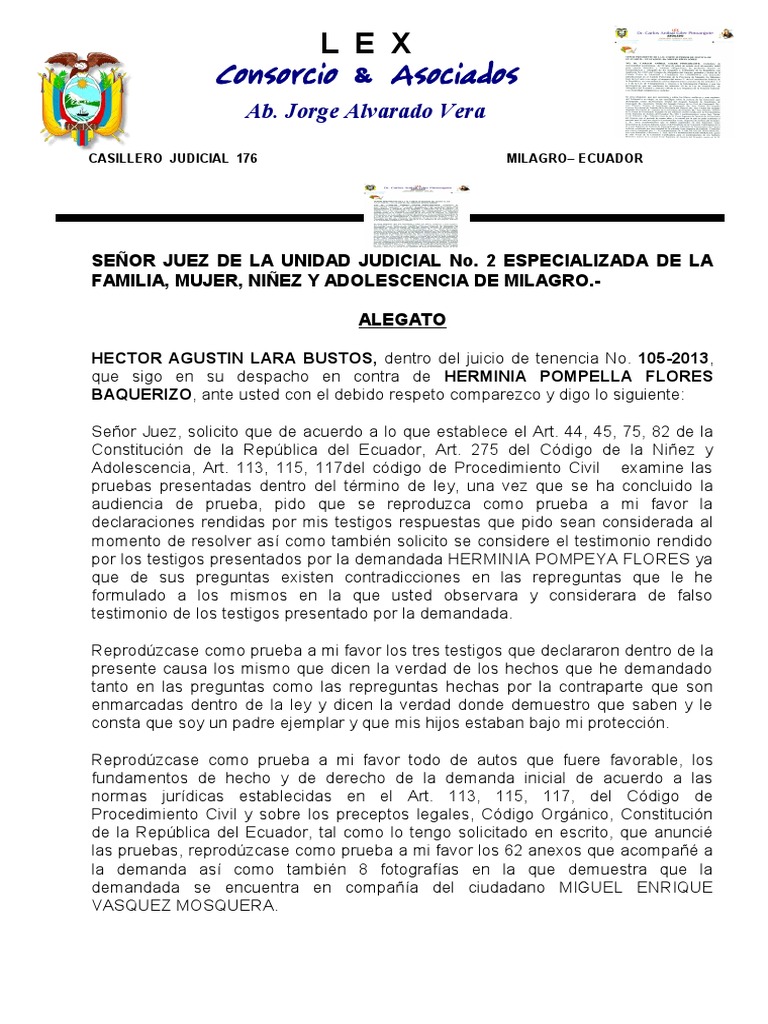 Hector Agustin Lara Bustos Alegato | PDF | Evidencia (ley) | Demanda judicial