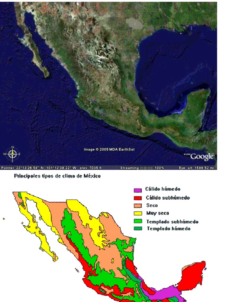 Tipos de Vegetacion de Mexico | PDF