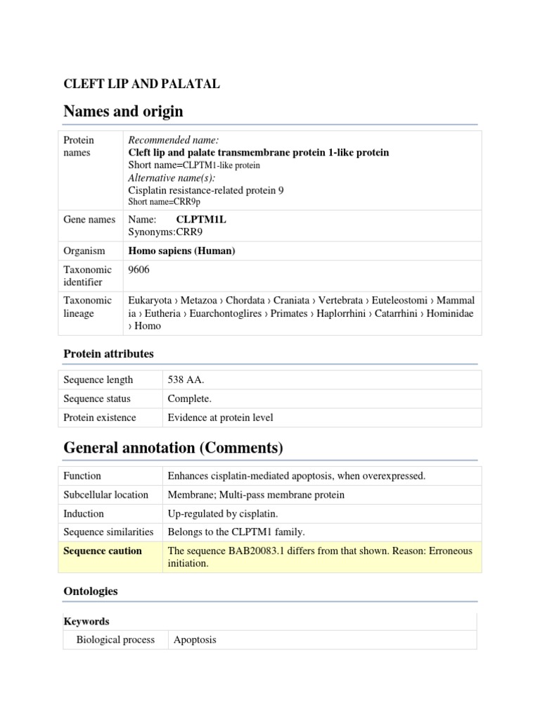 Human CLPTM1L Protein Overview | PDF