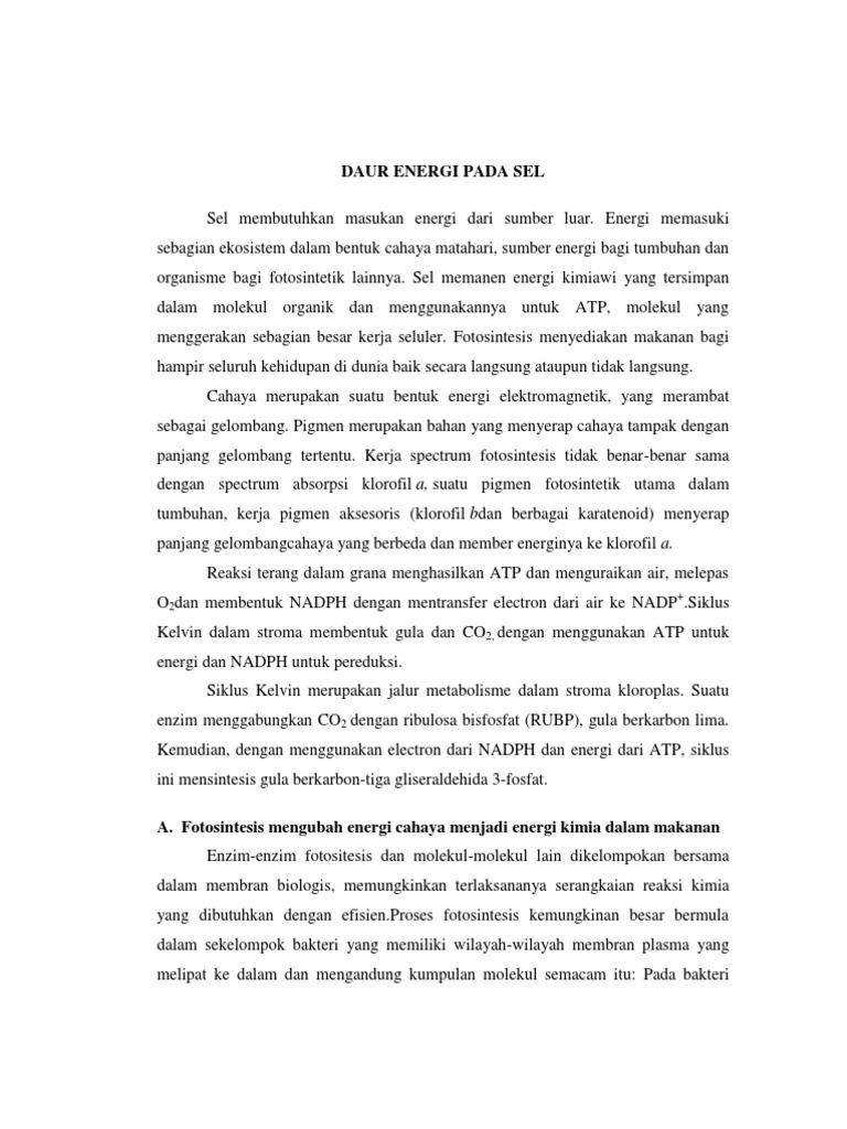 Daur Energi Di Dalam Sel | PDF | Ilmu Sosial | Kesehatan Holistik