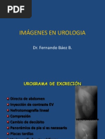 Programa B15 - (Imprimible) 2024-1 | PDF | Alimentos