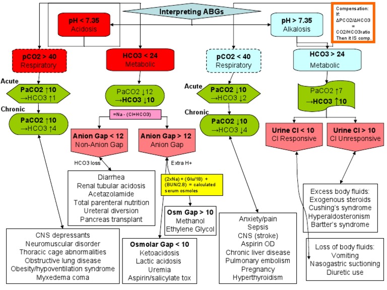 ABG Interpretation | PDF