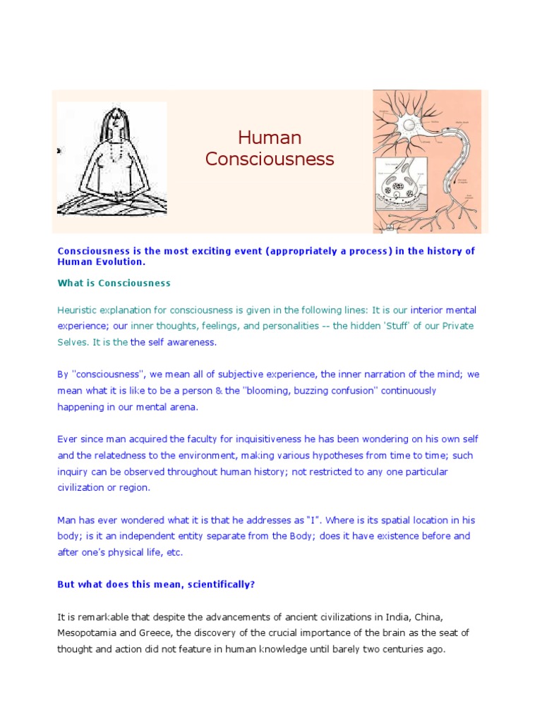 Human Consciousness | PDF | Consciousness | Mind