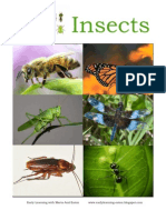 Insects | PDF | Insects | Lizard