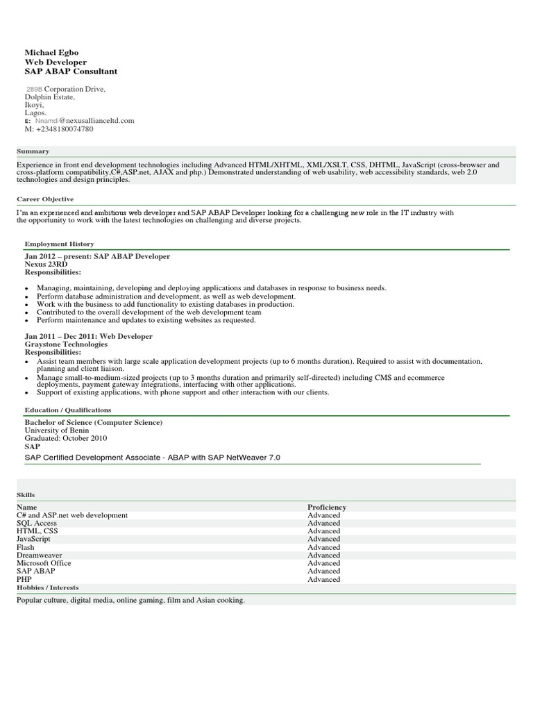 Michael Egbo CV Final | PDF | World Wide Web | Internet & Web