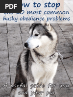 Sample Stud Dog Contract | PDF | Horse Breeding | Dog Breeding