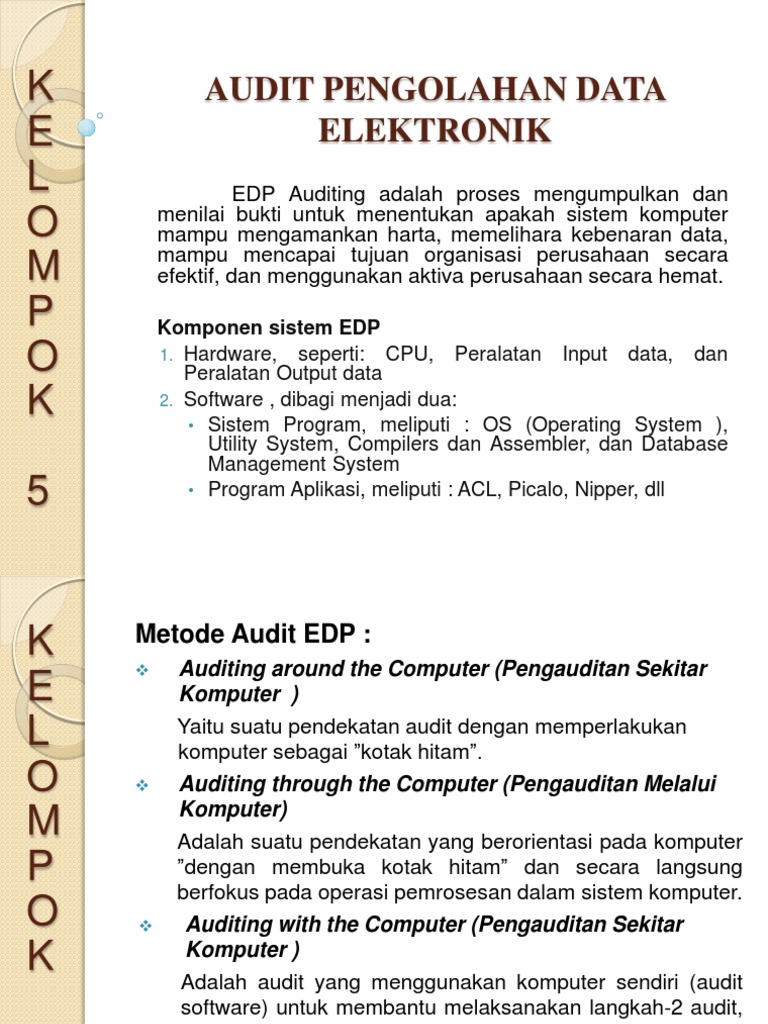 Audit Pengolahan Data Elektronik | PDF