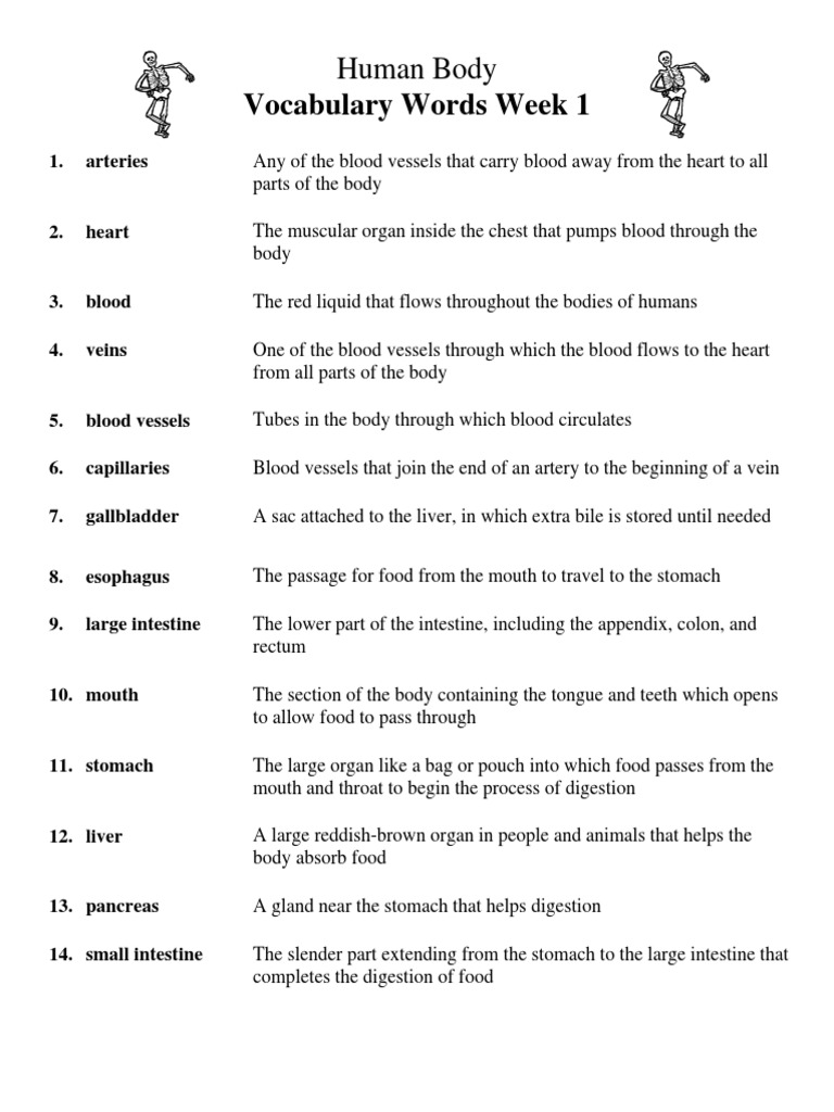 Vocabulary Words Week 1: Human Body | PDF | Human Body | Breathing
