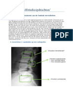 Zelfstudie Anatomie Wervelkolom en Thorax (Botten) | PDF