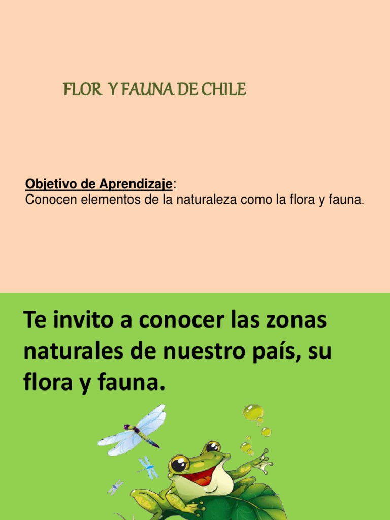 Flora y Fauna Zonas de Chile | PDF