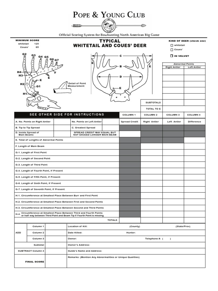 P&Y Score Sheet | PDF | White Tailed Deer | Nature