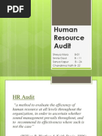 HR Internal Audit Report Summary | PDF | Human Resources | Payroll