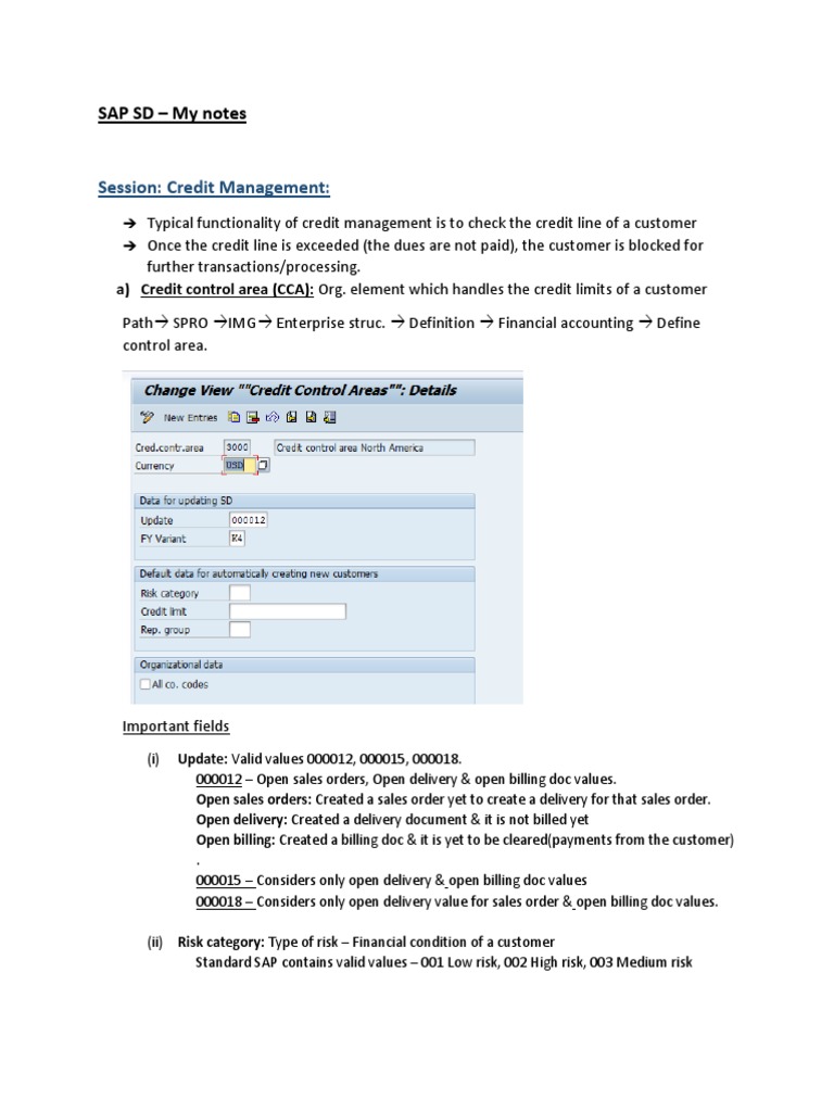 My SAP SD notes | Invoice | Debits And Credits
