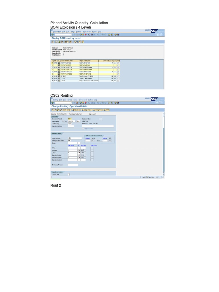 Planned Activity Rate Calculation in SAP | PDF | Production And ...
