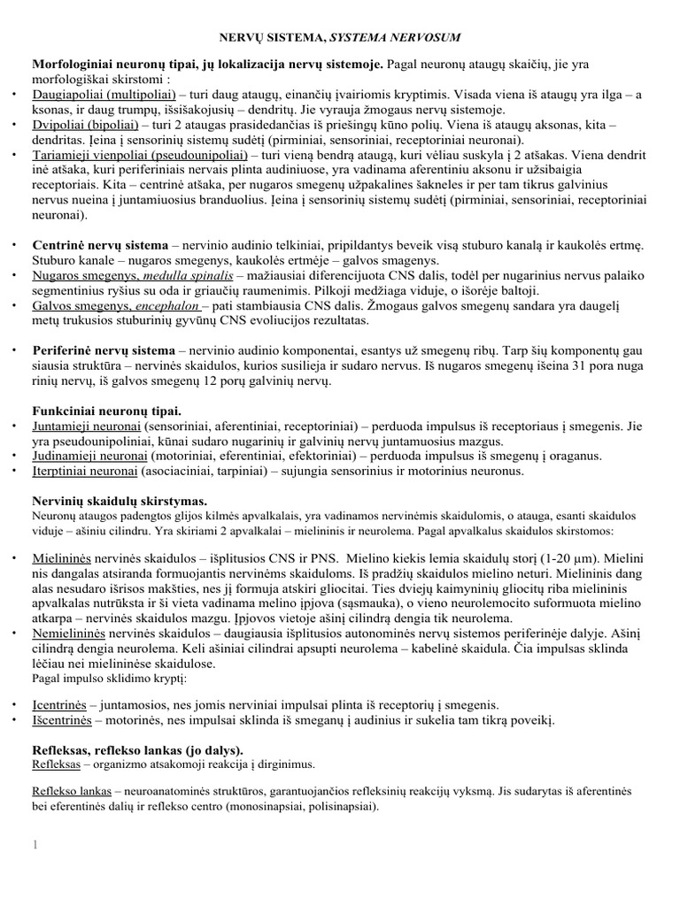 Anatomija CNS | PDF