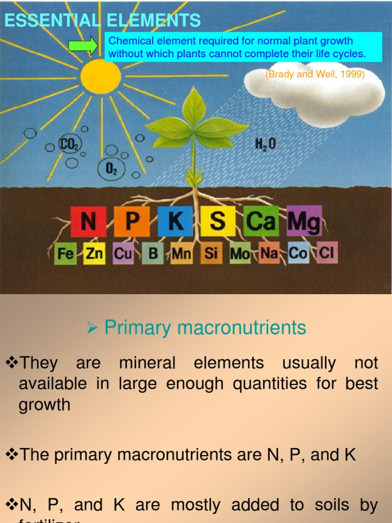 NUTRIENT UPTAKE | Diffusion | Soil
