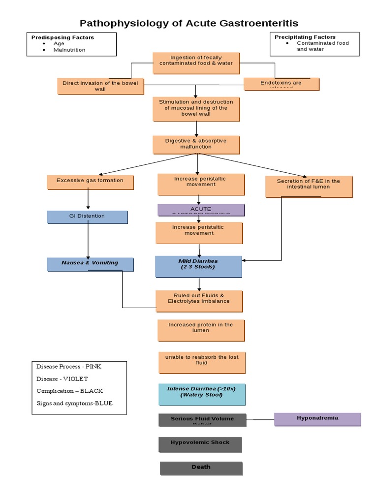 Pathophysiology of Acute Gastroenteritis: Predisposing Factors ...
