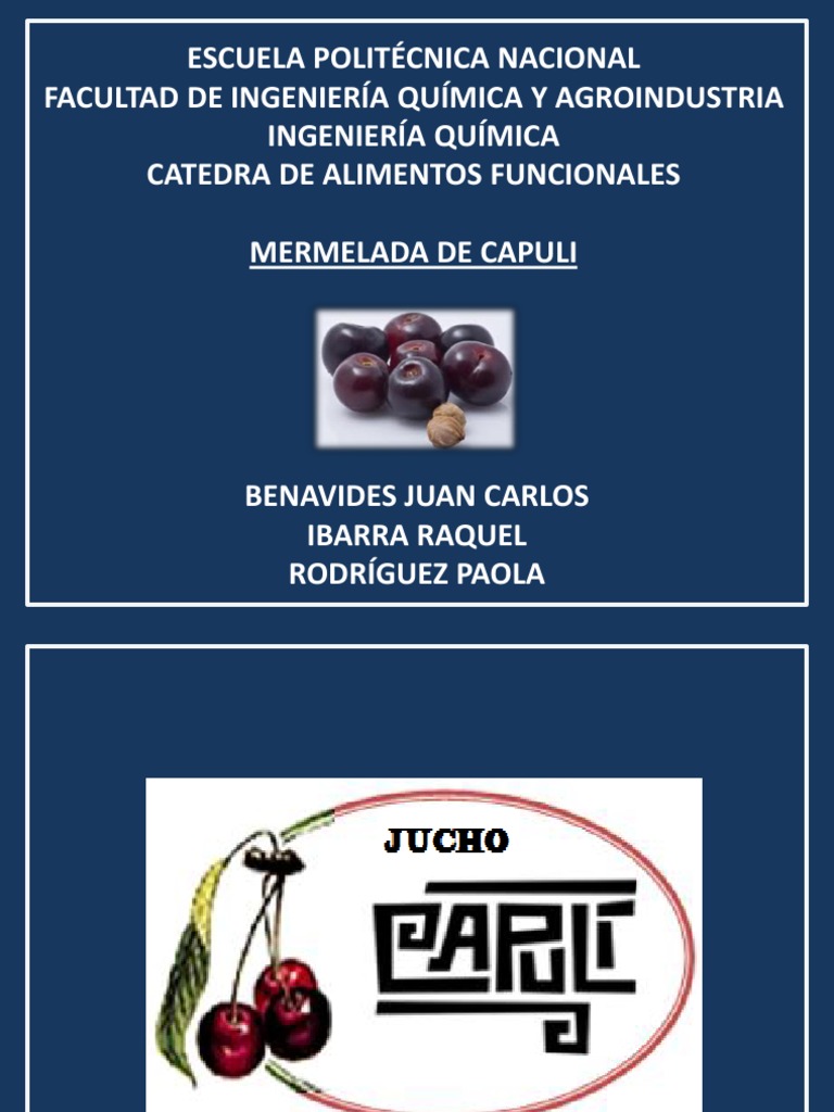 Proyecto Mermelada de Capuli | PDF