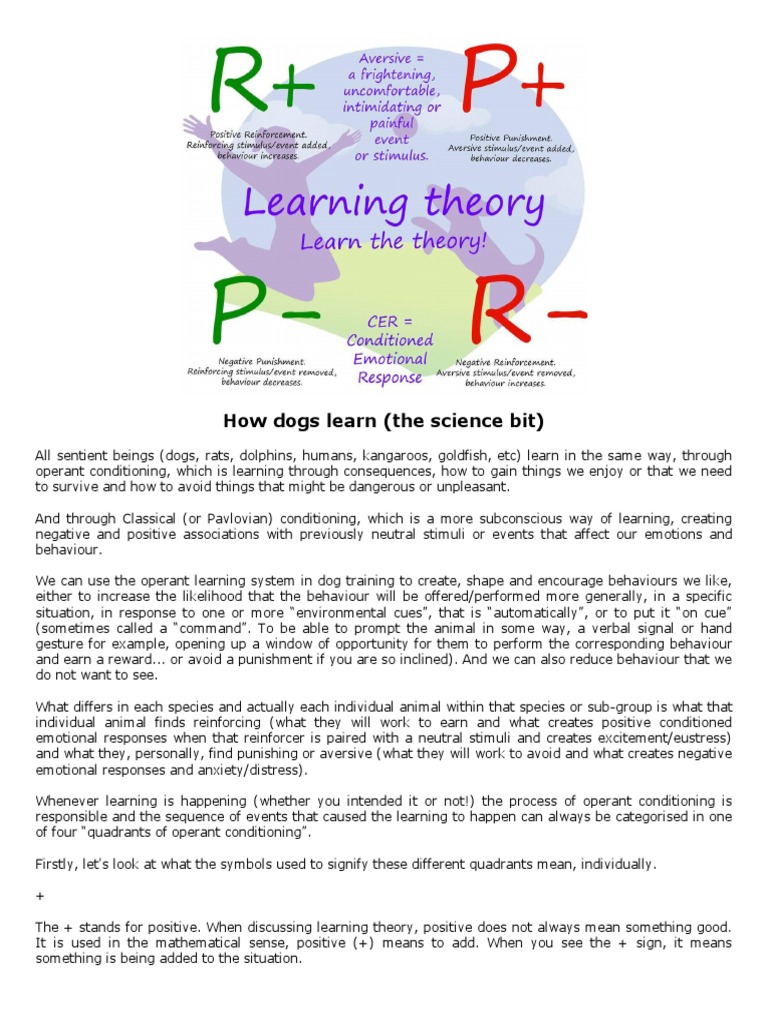 How Dogs Learn | Download Free PDF | Reinforcement | Classical Conditioning