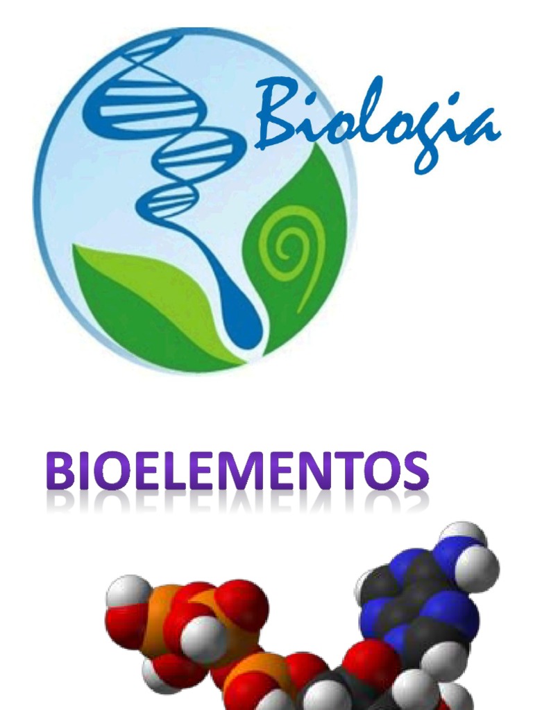 Presentación Bioelementos | PDF | Calcio | Biomoléculas