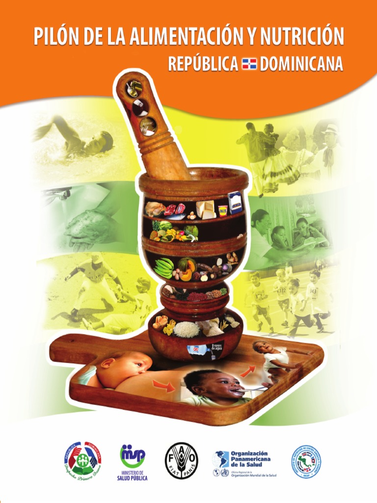 Pilon de La Alimentacion y Nutricion | PDF | Desnutrición | Alimentos