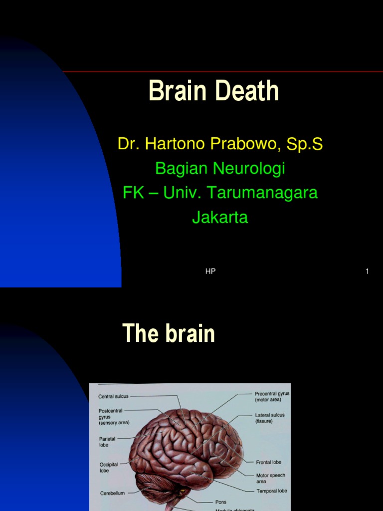 Brain Death | PDF | Coma | Medicine