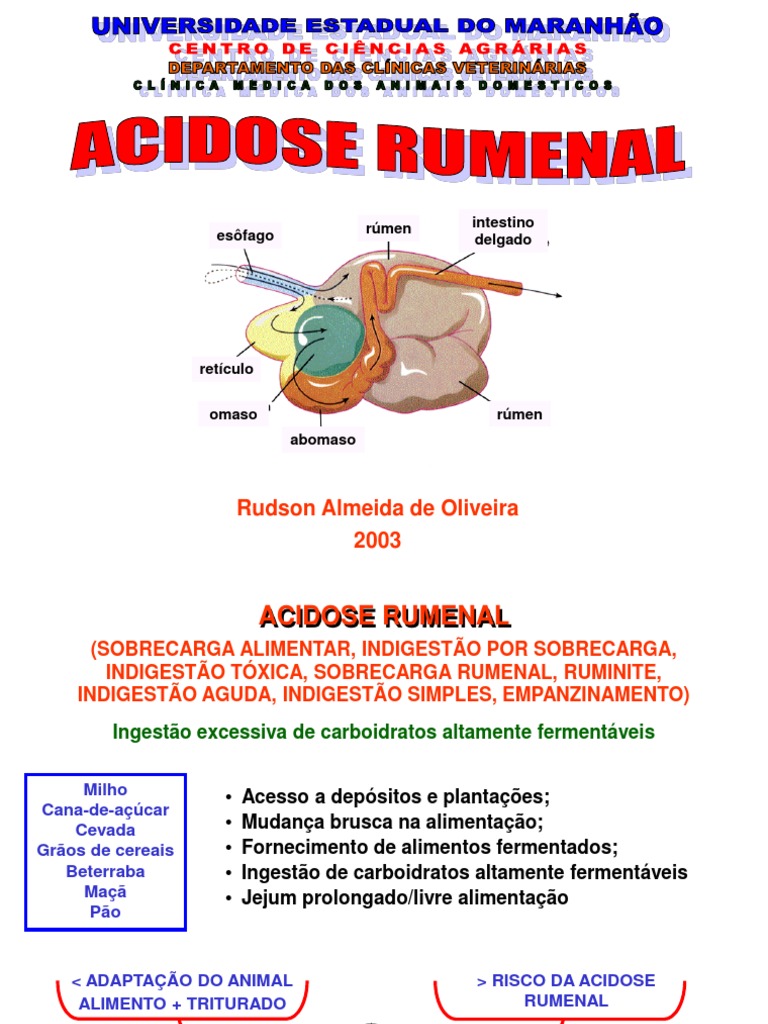 Acidose Ruminal | Aminoácido | Enzima