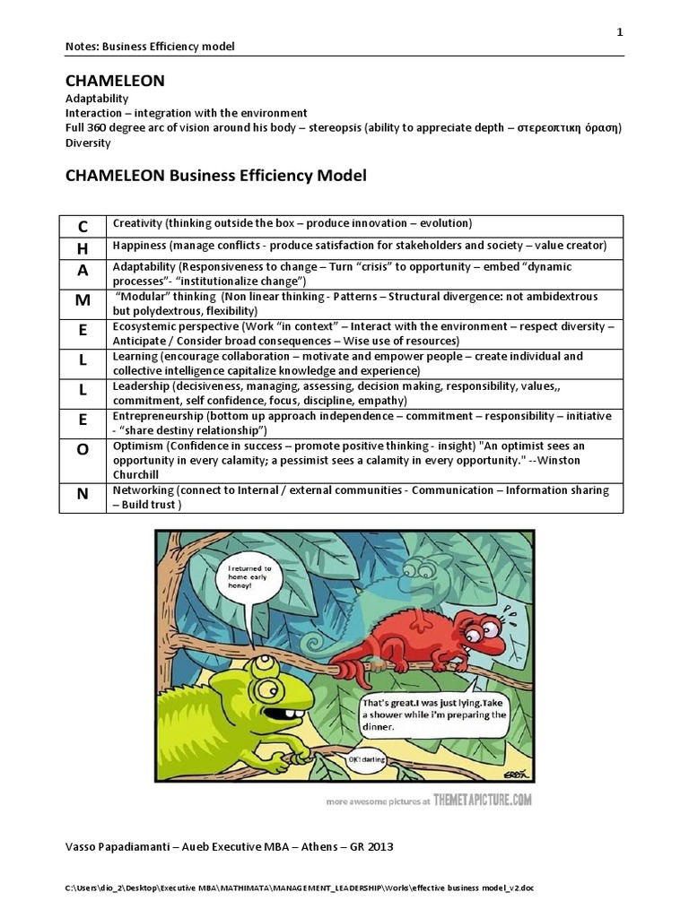 Chameleon Business Efficiency Model | PDF