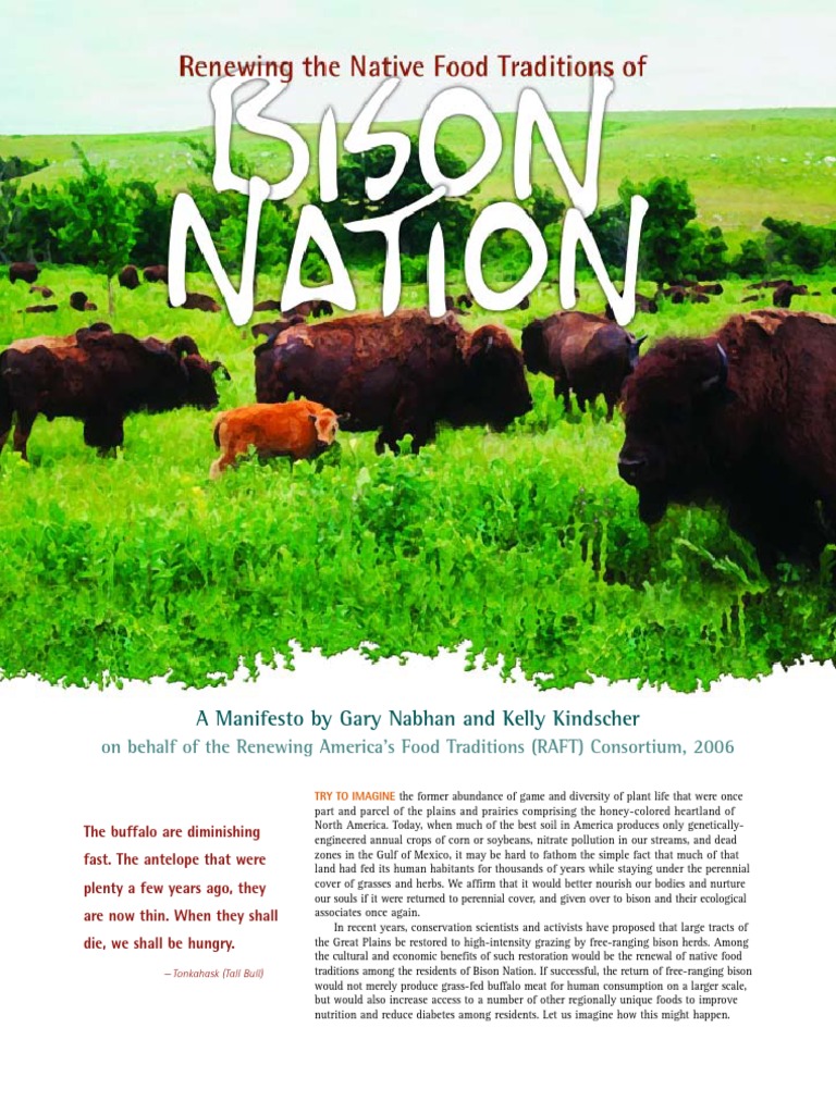 Renewing Native Food Traditions on the Plains | PDF | American Bison ...