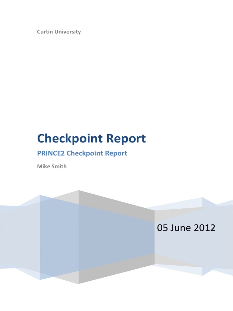 Checkpoint Report | PDF | Business