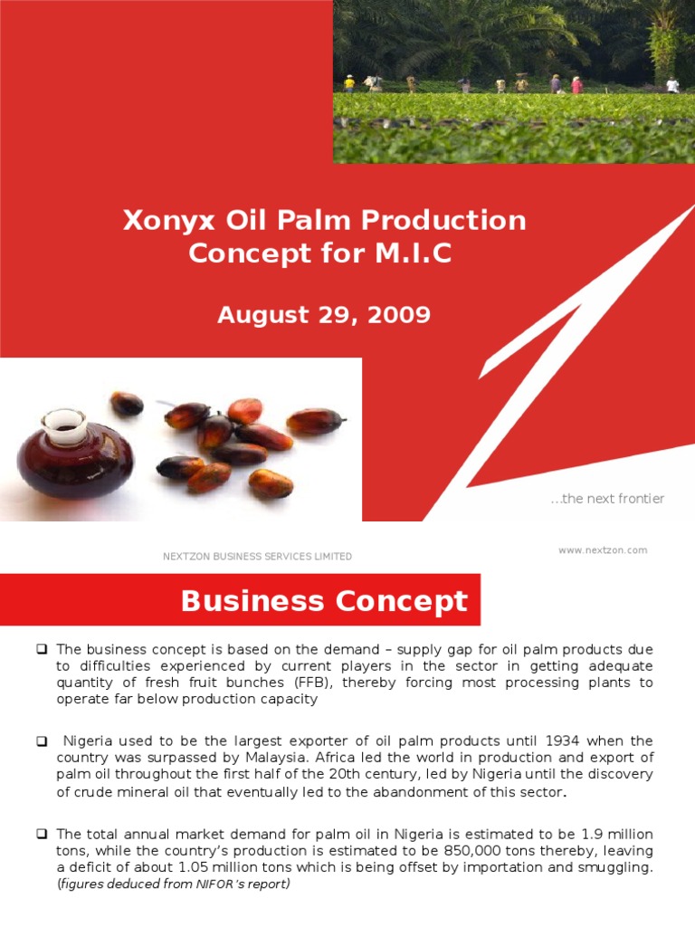 Oil Palm Production Business Concept | PDF | Palm Oil | Cooking Oil