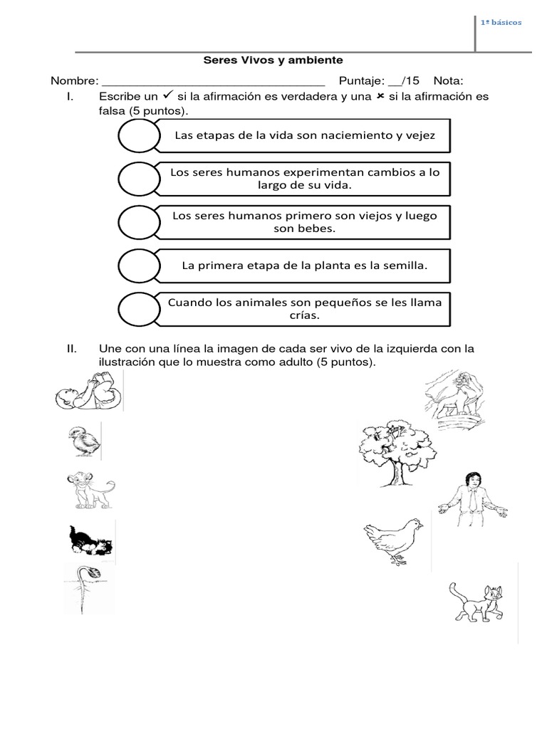 Prueba Seres Vivos y Ambiente | PDF | Organismos | Naturaleza