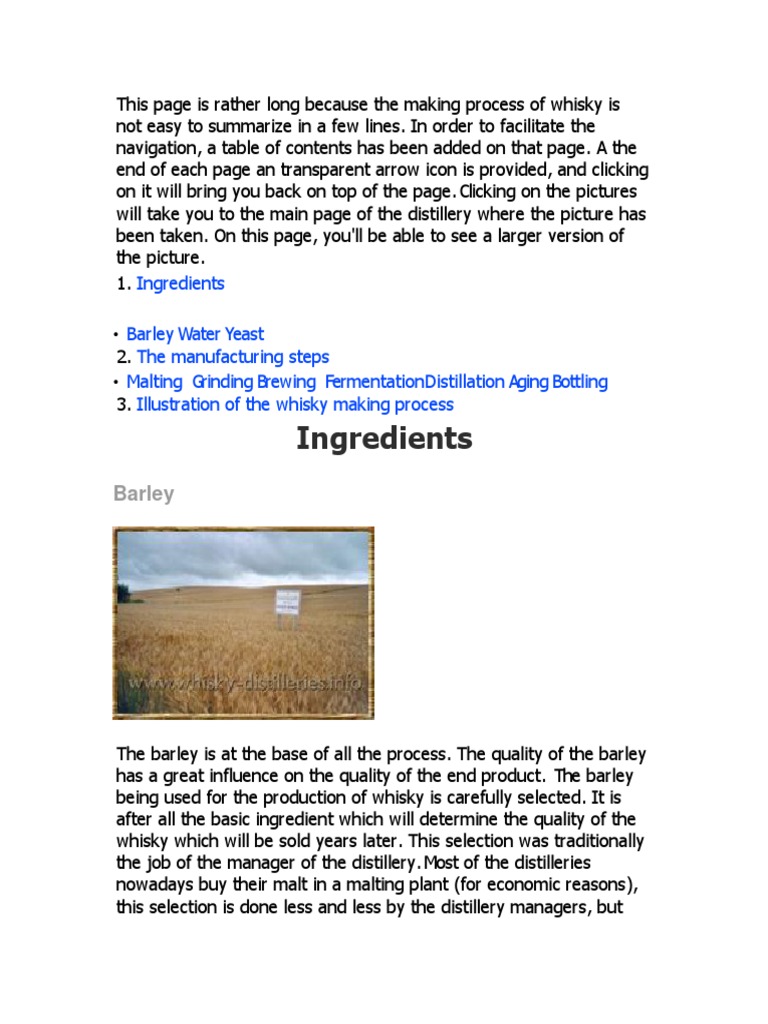 Whisky Making Process | PDF | Scotch Whisky | Malt