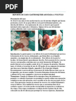 Clasificación de Forrest | PDF | Gastroenterología | Procedimientos médicos